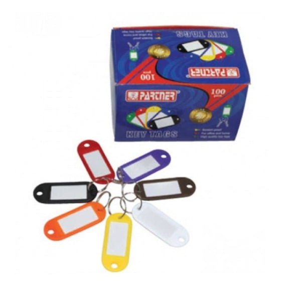 Partner Plastic Key Tags with Ring, 100/pack, Assorted Colors - Office ...